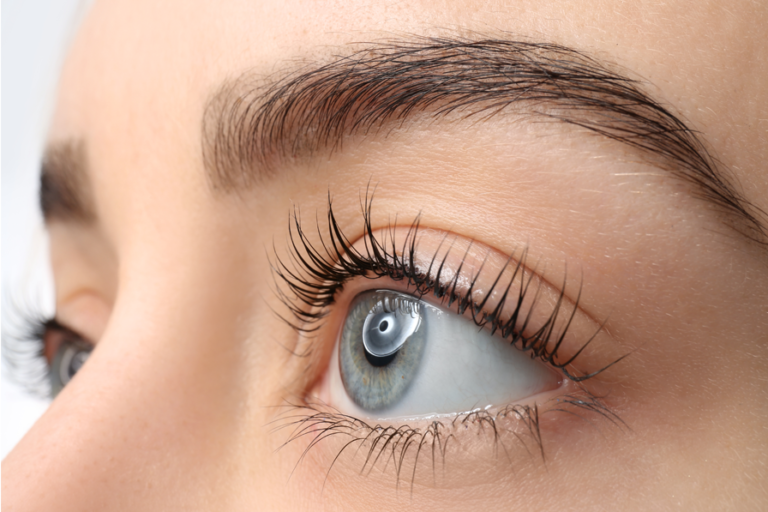 The purpose of eyelashes and their importance - Lash Masterclass