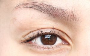 My Lash Lift Gone Wrong! How to Fix It - Lash Masterclass