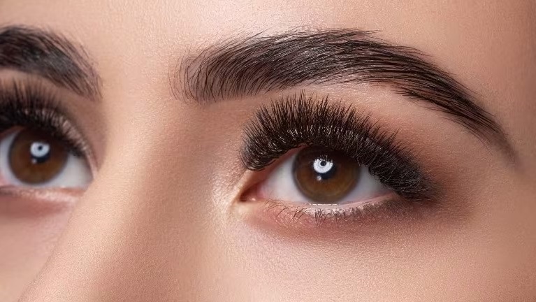 The Purpose Of Eyelashes And Their Importance Lash Masterclass