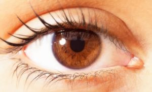 Ingrown Eyelash : How to Treat It? - Lash Masterclass